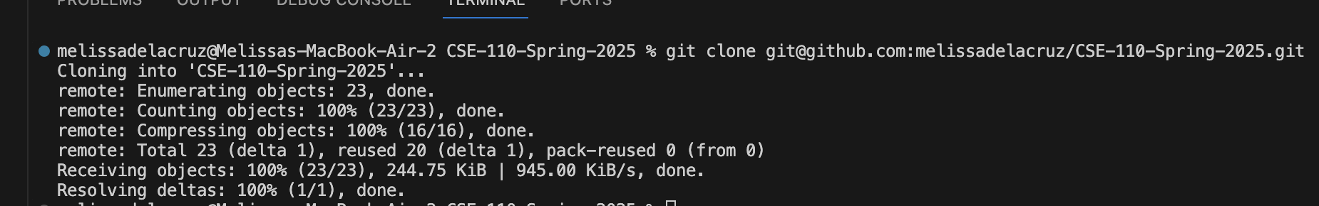 Lab 1 | CSE-110-Spring-2025